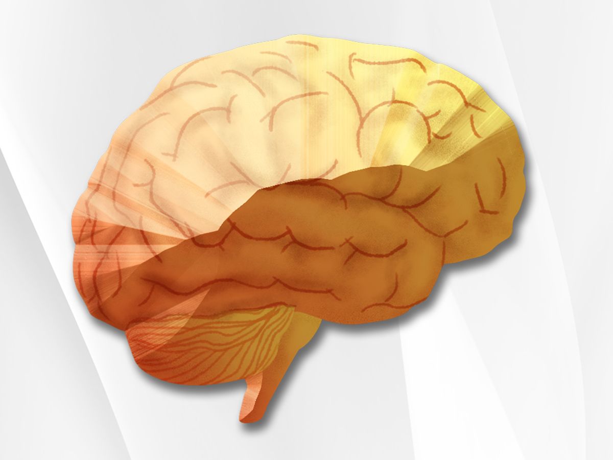 Neural Zoomer Plus Test - MDLifespan